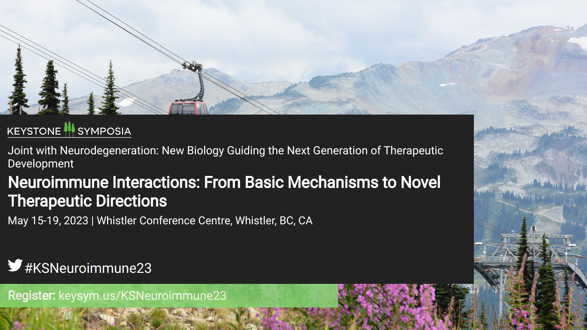 Neuroimmune Interactions: From Basic Mechanisms to Novel Therapeutic Directions | Keystone ...